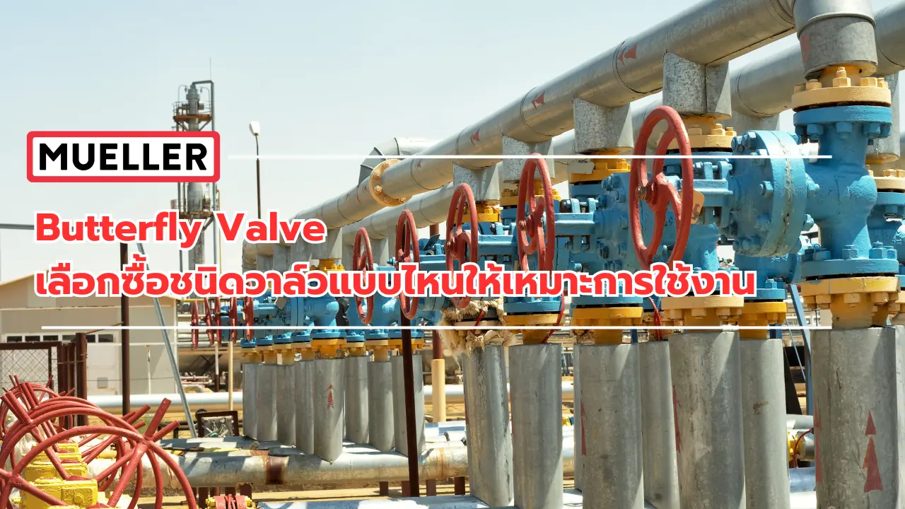 Butterfly Valve แบรนด์ Mueller เลือกซื้อแบบไหนให้เหมาะการใช้งานของคุณ ...